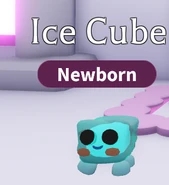 Ice Cube | Adopt Me! Wiki | Fandom