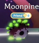 Moonpine | Adopt Me! Wiki | Fandom