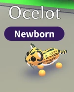 Ocelot | Adopt Me! Wiki | Fandom