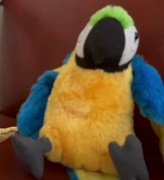 Howard | ADPS Wiki | Fandom