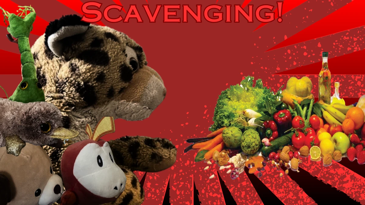 Scavenging | ADPS Wiki | Fandom
