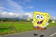 Spongebob | Adrianphilippines Wiki | Fandom