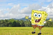 Spongebob | Adrianphilippines Wiki | Fandom