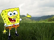 Spongebob | Adrianphilippines Wiki | Fandom
