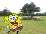 Spongebob | Adrianphilippines Wiki | Fandom