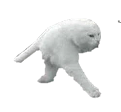 Sinko Peso | Wiki Adrianus Terraqueus | Fandom