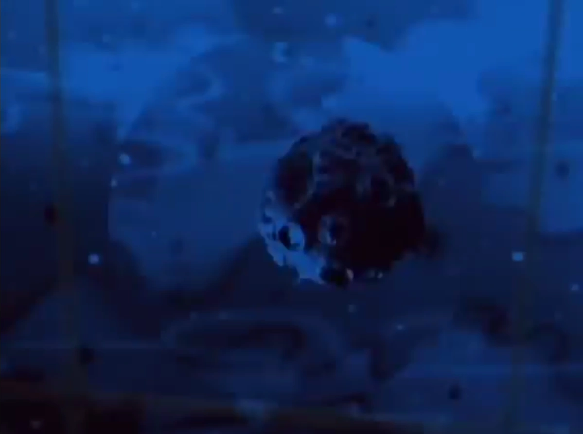 Hit Single | [adult swim] wiki | Fandom