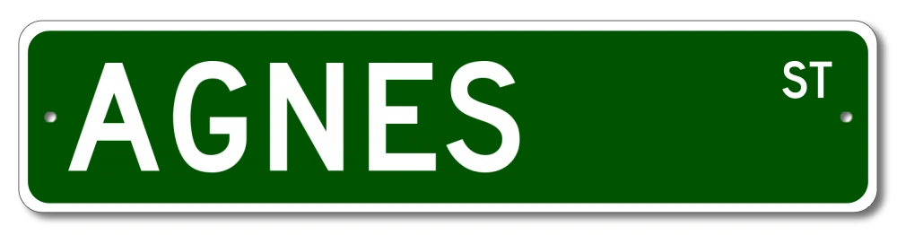 Agnes Street | Carraway Island Wiki | Fandom