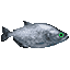Fish (creature) | EternityDev Wiki | Fandom