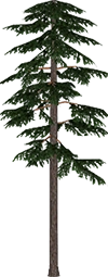 Trees | EternityDev Wiki | Fandom