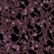 Red Forest | EternityDev Wiki | Fandom