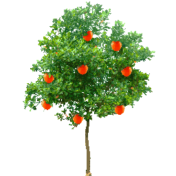 Trees | EternityDev Wiki | Fandom