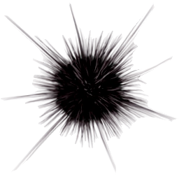 Bluche | EternityDev Wiki | Fandom