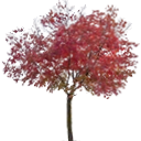 Trees | EternityDev Wiki | Fandom