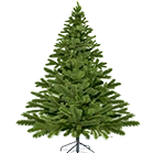 Pines | EternityDev Wiki | Fandom