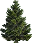 Trees | EternityDev Wiki | Fandom