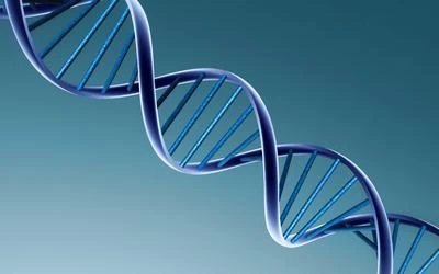 Human DNA | Advanced Humans Wiki | Fandom