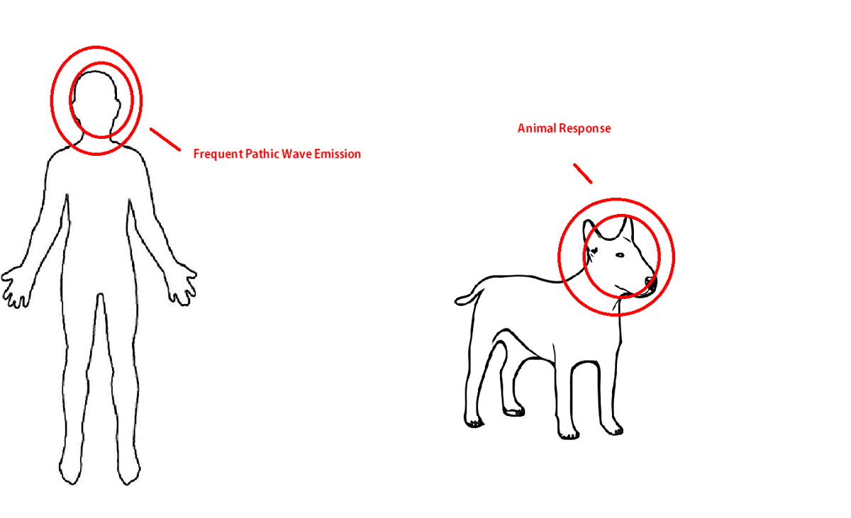 Zoopathy | Advancing Evolution Wiki | Fandom