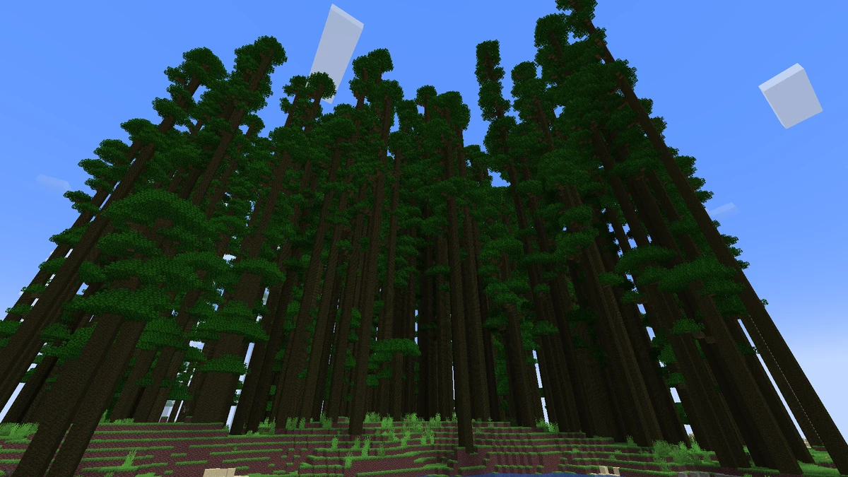 Precasian Tall Forest - Official Advent of Ascension Wiki