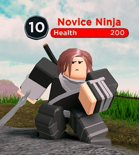 Novice Ninja | Adventure Up! Wiki | Fandom