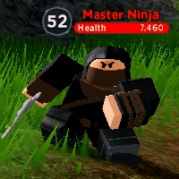 Master Ninja (Maxed) | Adventure Up! Wiki | Fandom