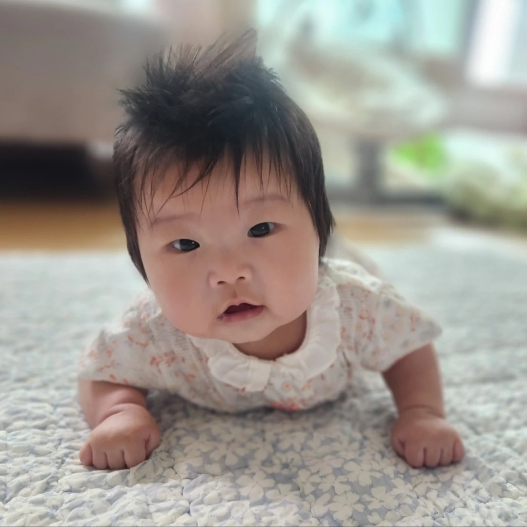 高全鰒 | Adventure Wiki | Fandom