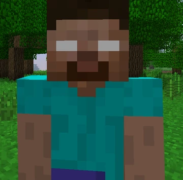 Minecraft Hidden Herobrine In Cover