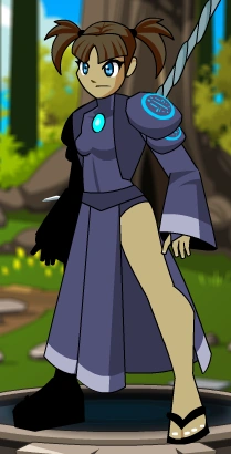 Mage Class | AdventureQuest Worlds Wiki | Fandom