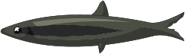 Fishing | AdventureQuest Worlds Wiki | Fandom