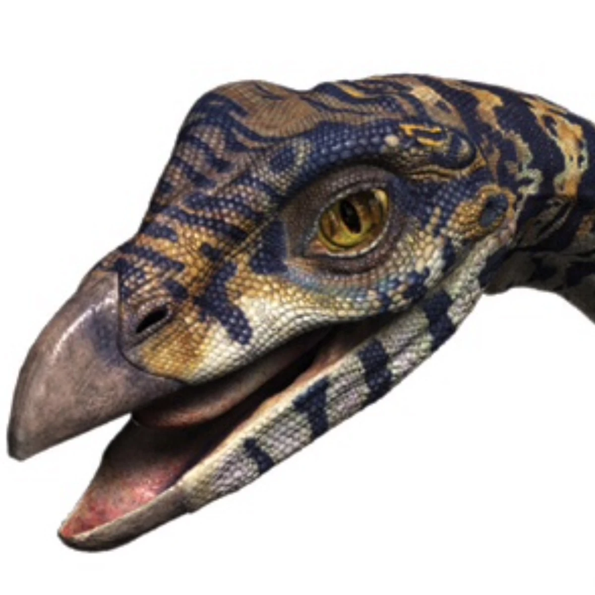 Effigia | Adventures of Jairex and Tirzah Rose Wiki | Fandom