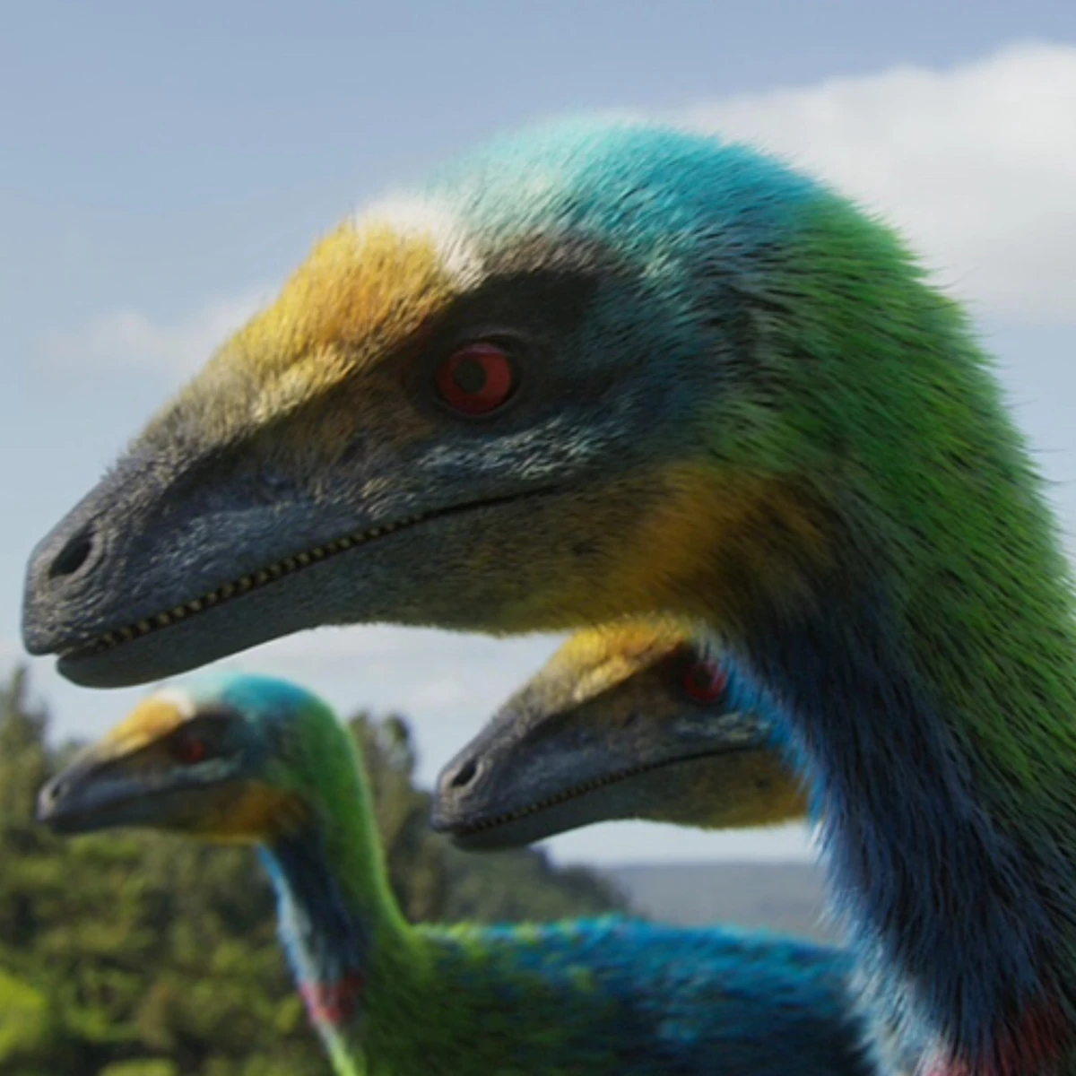 Zanabazar Junior | Adventures of Jairex and Tirzah Rose Wiki | Fandom