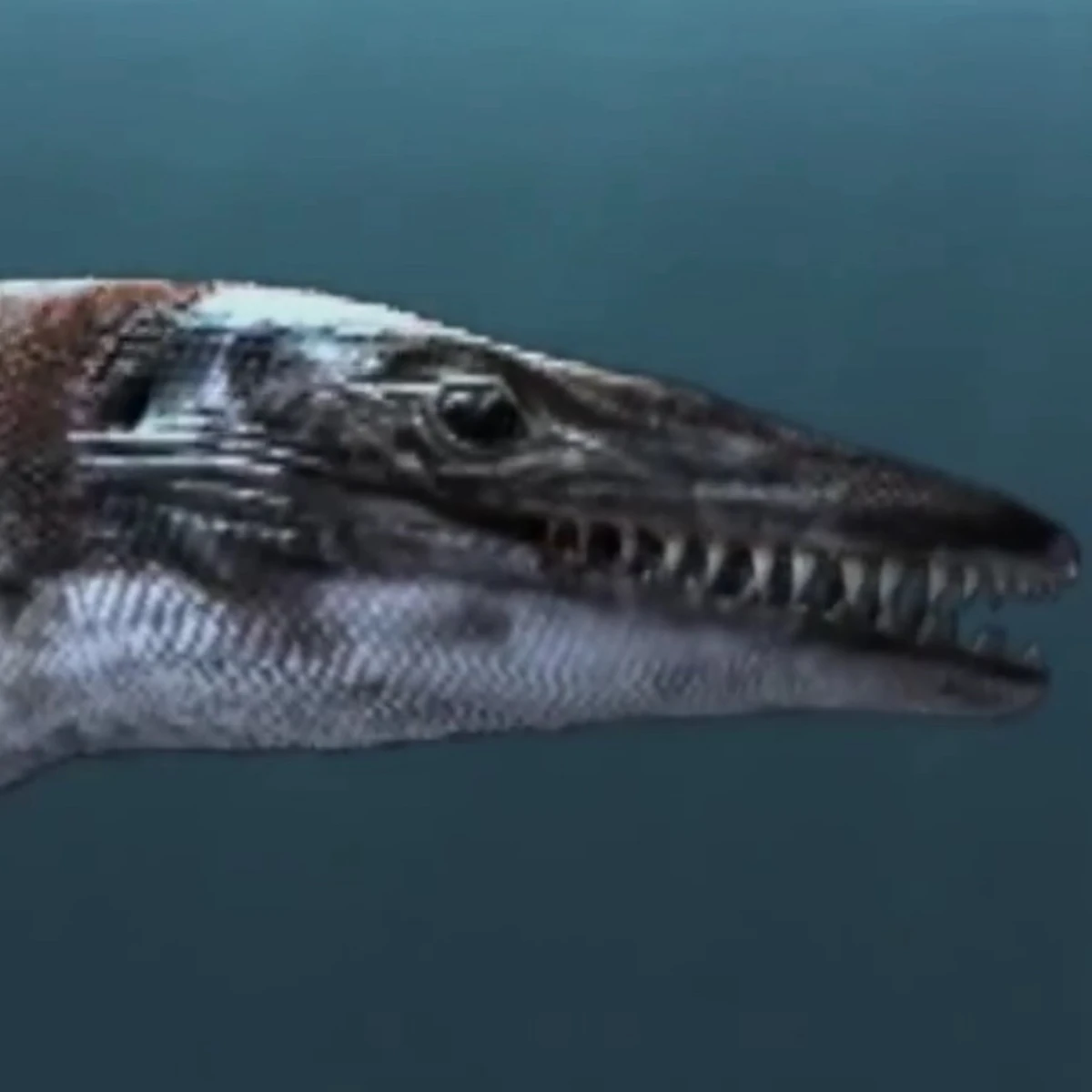 Platecarpus | Adventures of Jairex and Tirzah Rose Wiki | Fandom