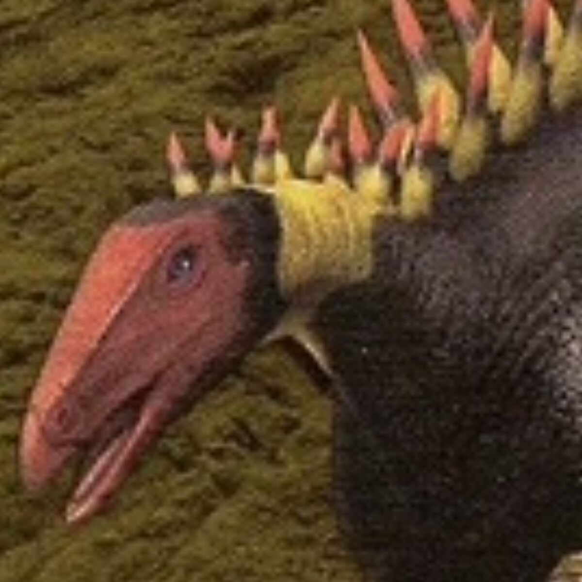 Lexovisaurus Adventures Of Jairex And Tirzah Rose Wiki Fandom
