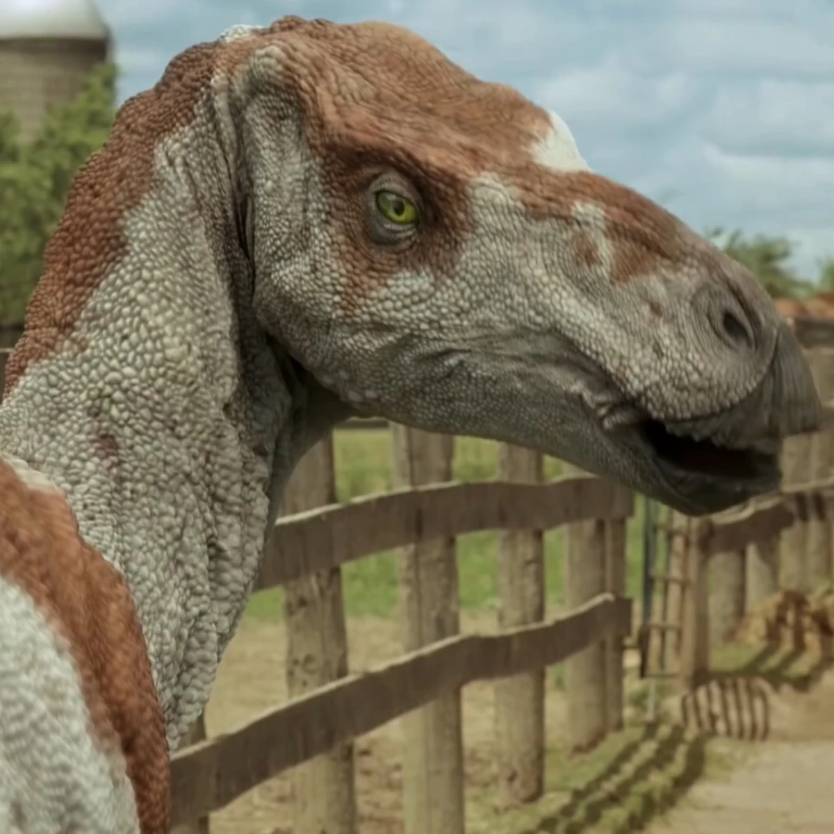 Hippodraco | Adventures of Jairex and Tirzah Rose Wiki | Fandom