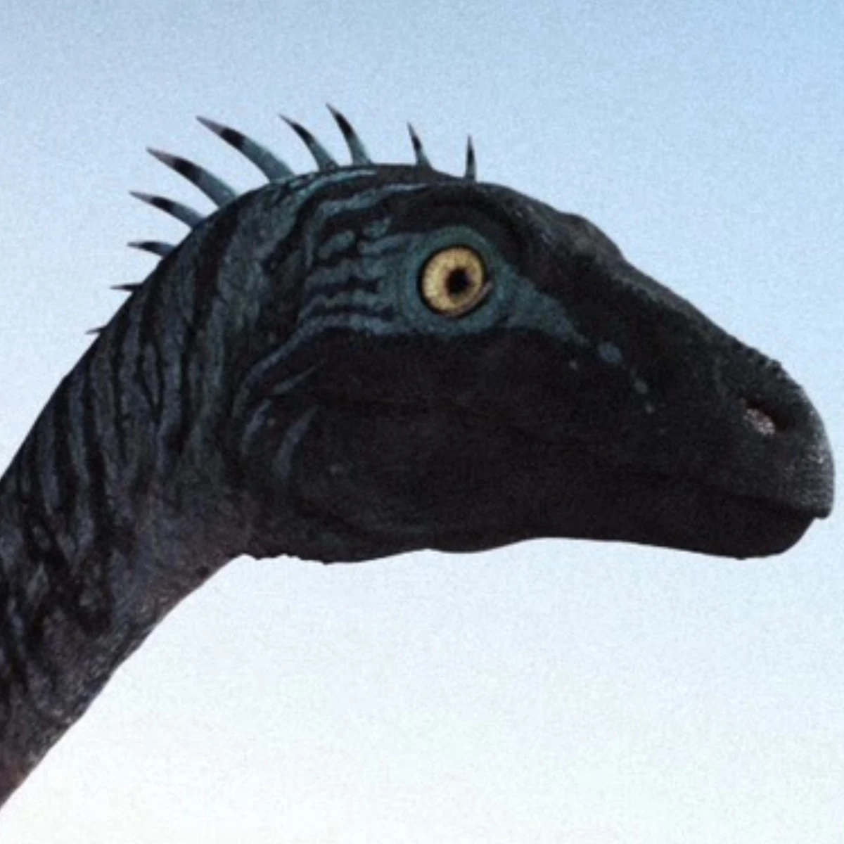 Eoraptor | Adventures of Jairex and Tirzah Rose Wiki | Fandom