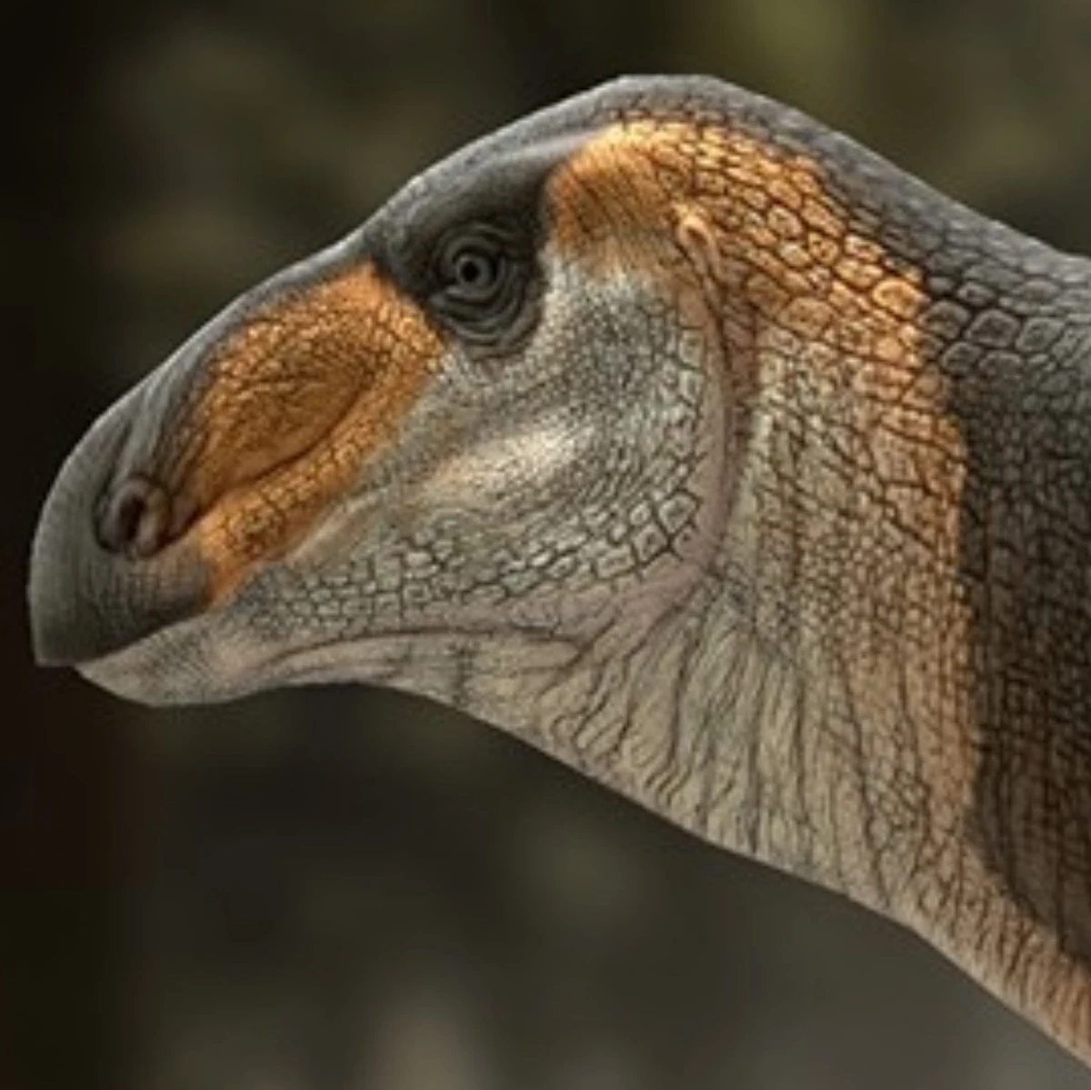 Barsboldia | Adventures of Jairex and Tirzah Rose Wiki | Fandom