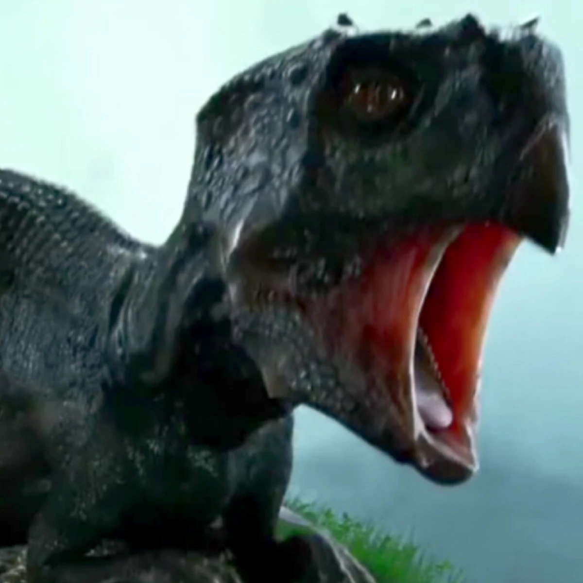 Psittacosaurus Transformers