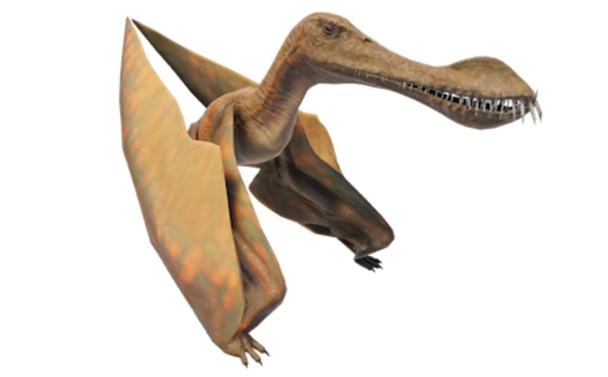 Maaradactylus | Adventures of Jairex and Tirzah Rose Wiki | Fandom