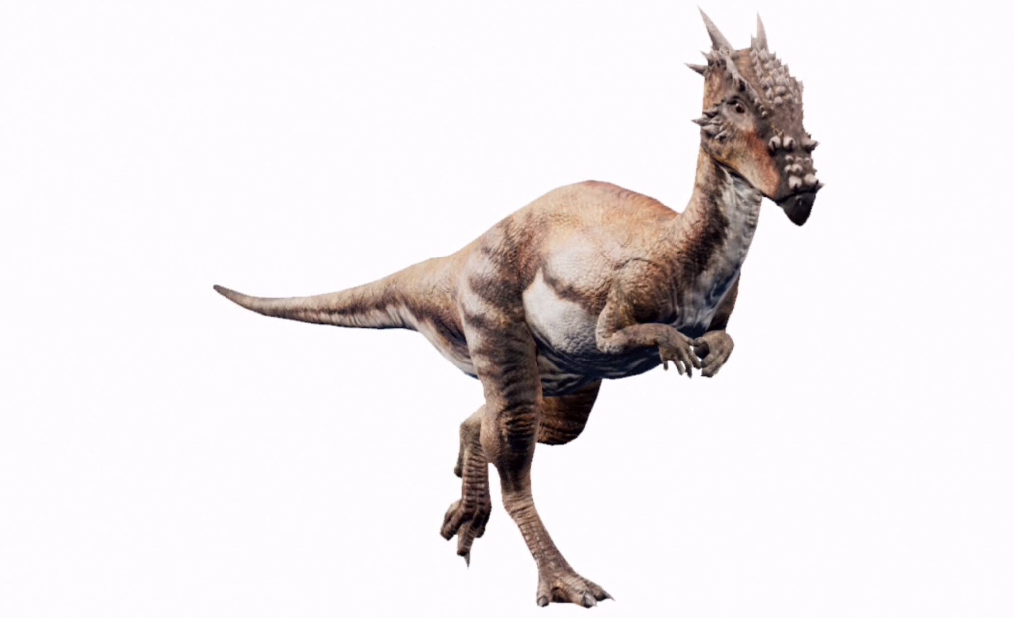 Dracorex Dino Dan