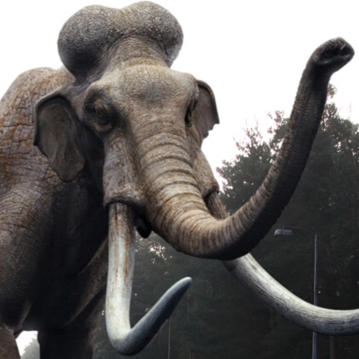 Columbian Mammoth | Adventures of Jairex and Tirzah Rose Wiki | Fandom