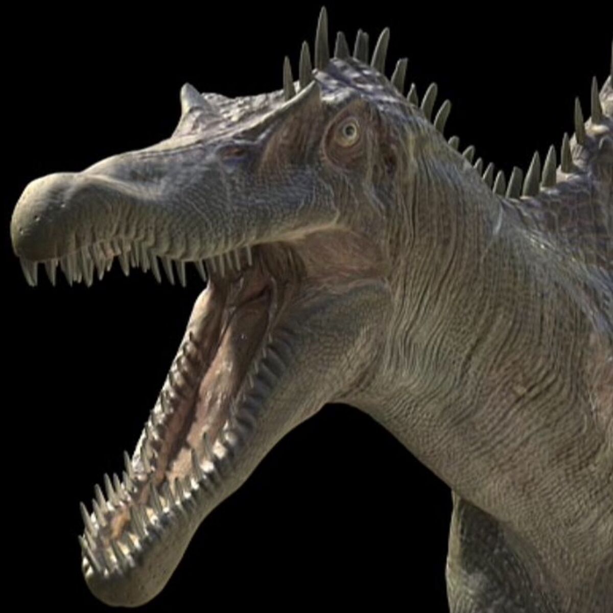 Empirosaurus Adventures Of Jairex And Tirzah Rose Wiki Fandom
