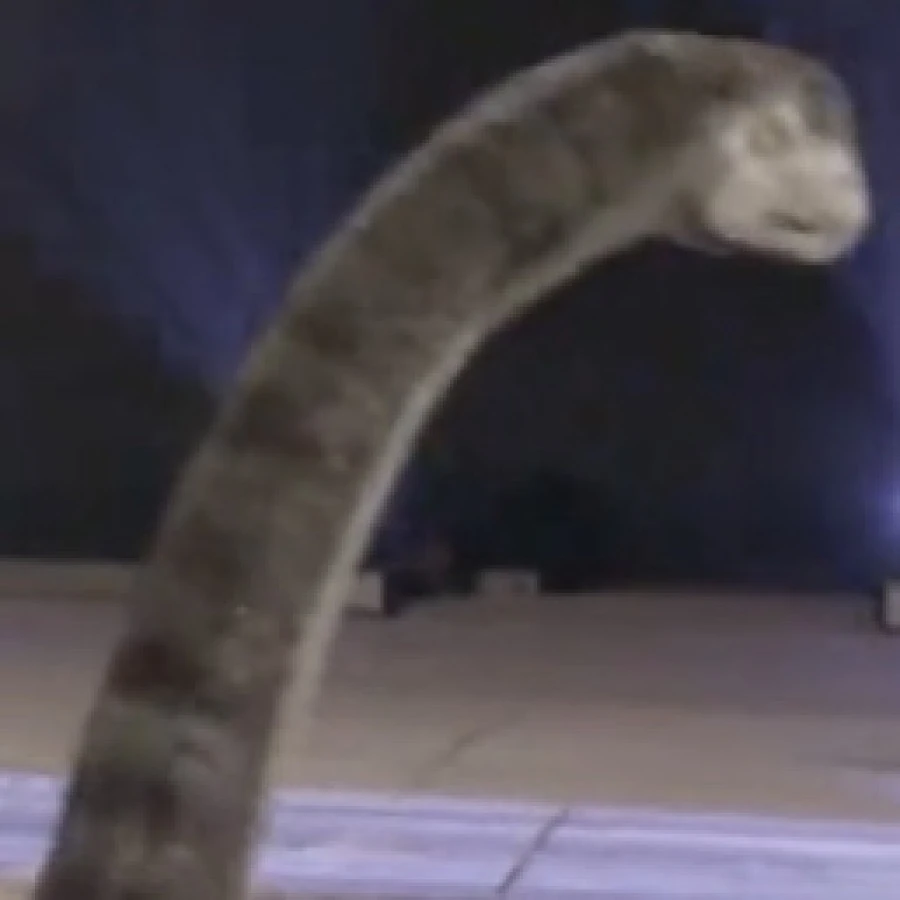 Bellusaurus | Adventures of Jairex and Tirzah Rose Wiki | Fandom