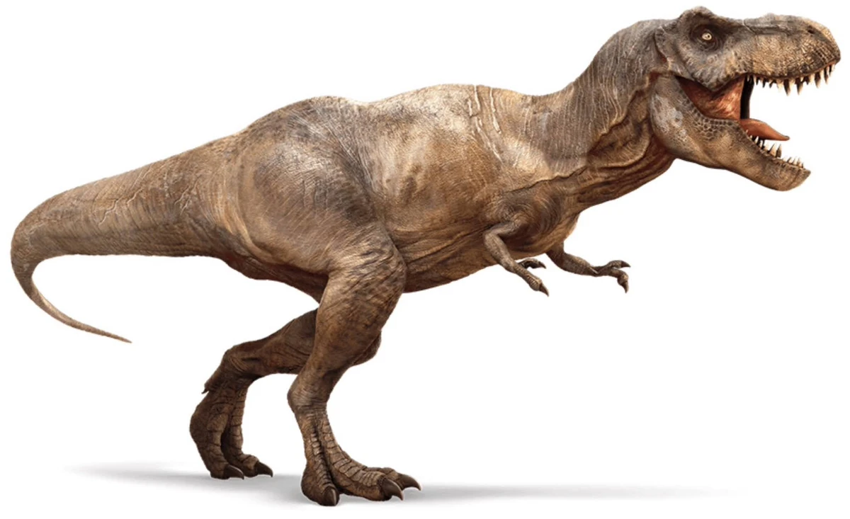 Tyrannosaurus-rex | Adventures of Jairex and Tirzah Rose Wiki | Fandom