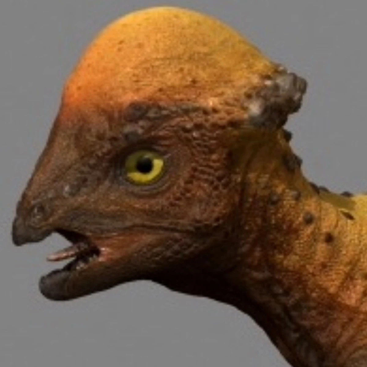 Sphaerotholus | Adventures of Jairex and Tirzah Rose Wiki | Fandom