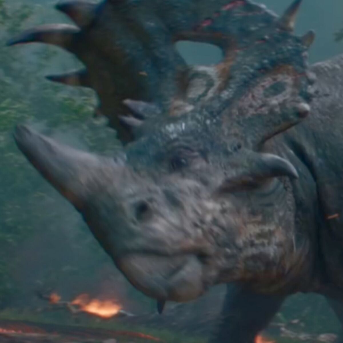 Sinoceratops Adventures Of Jairex And Tirzah Rose Wiki Fandom