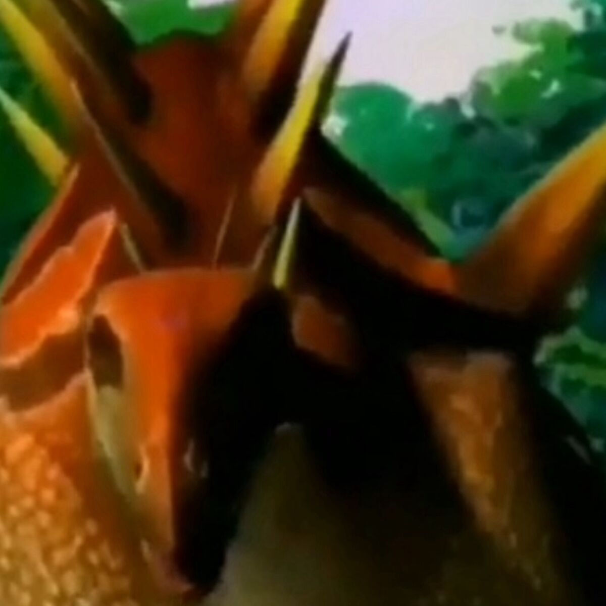 Tuojiangosaurus Adventures Of Jairex And Tirzah Rose Wiki Fandom