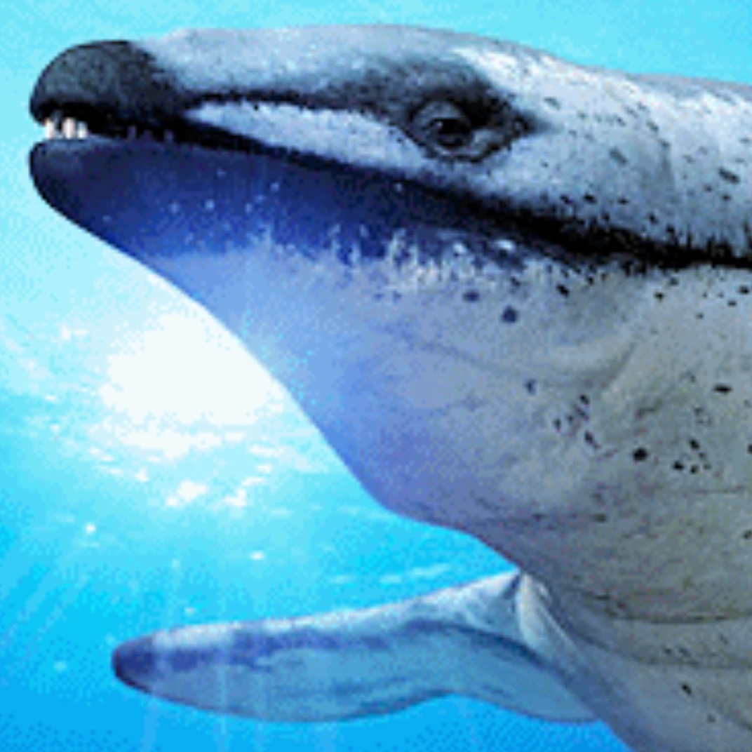 Basilosaurus | Adventures of Jairex and Tirzah Rose Wiki | Fandom