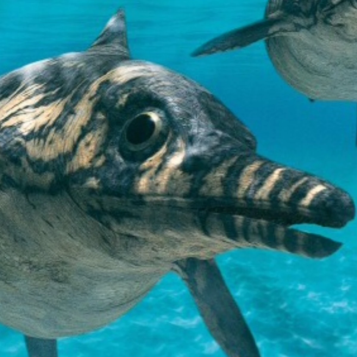 Ophthalmosaurus | Adventures of Jairex and Tirzah Rose Wiki | Fandom