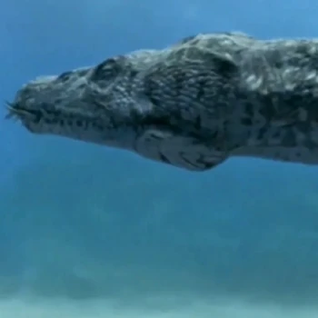 Nothosaurus | Adventures of Jairex and Tirzah Rose Wiki | Fandom