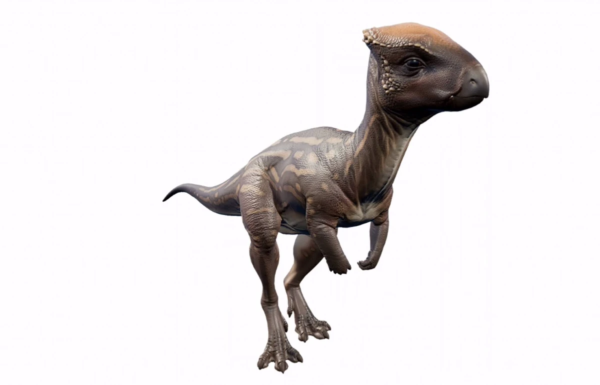 Homalocephale | Adventures of Jairex and Tirzah Rose Wiki | Fandom